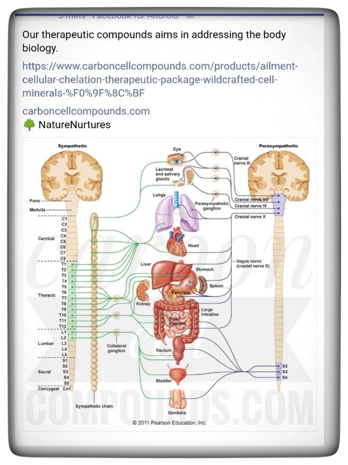 Body Healing – Carbon Cell Compounds